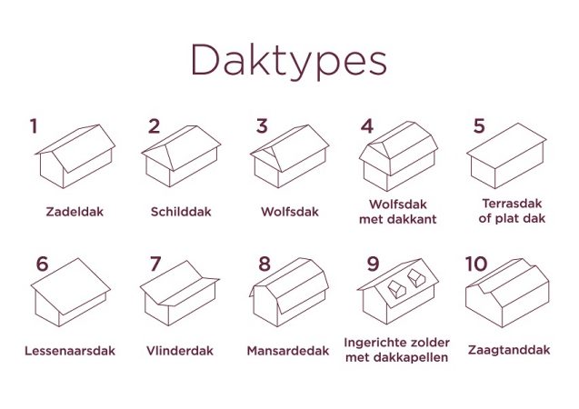 10 daktypes | Cupa Pizarras