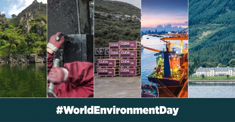 Eight reasons to celebrate the World Environment Day | Cupa Pizarras